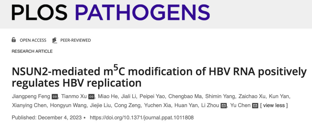 PLoS Pathogens | 陈宇课题组揭示RNA m5C甲基转移酶NSUN2调控HBV复制的机制_水平_研究_论文