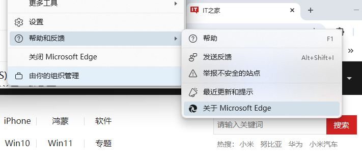 微软重新为 Edge 浏览器带来 Mica 云母效果，Win11 体验更佳_flags_反馈_问题